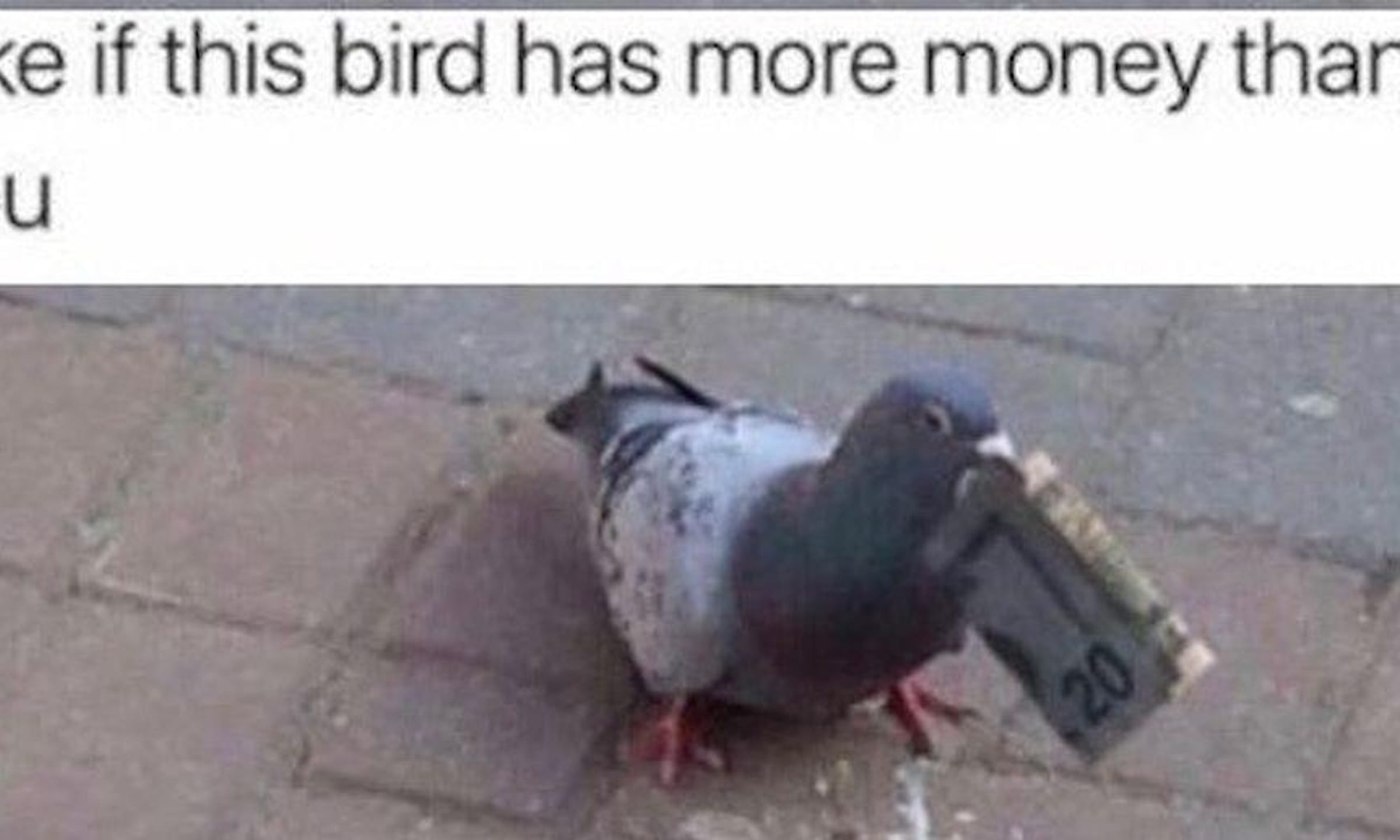 Soundboardly: 10 Ways To Make Money With Memes